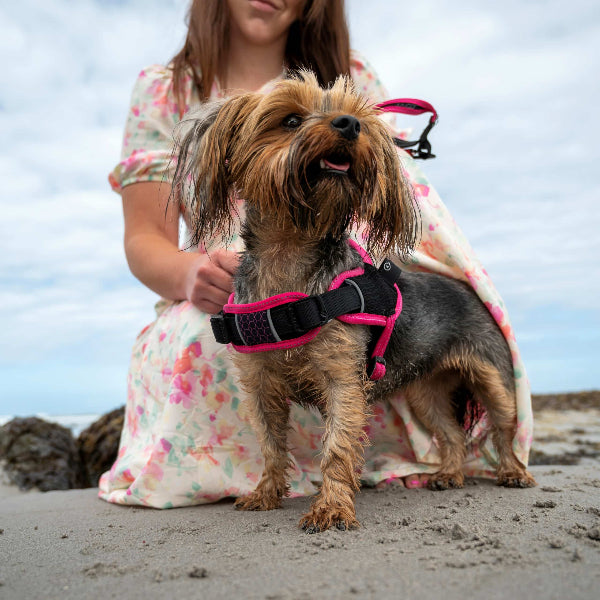 Rogz AirTech Sport Harness – K9PAWS